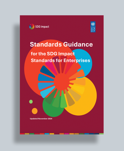 Publications | Private Finance for the SDGs